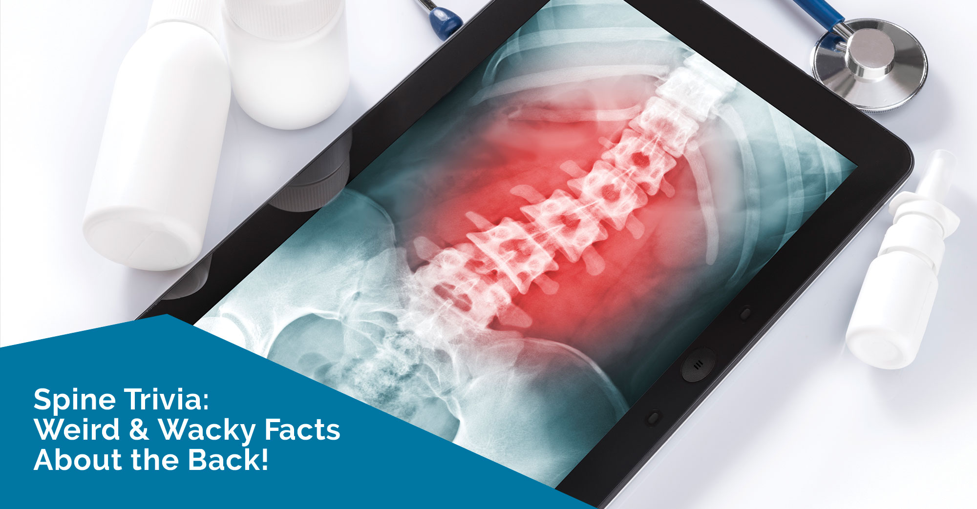 Spine Trivia: Weird & Wacky Facts About the Back! | Physiomed