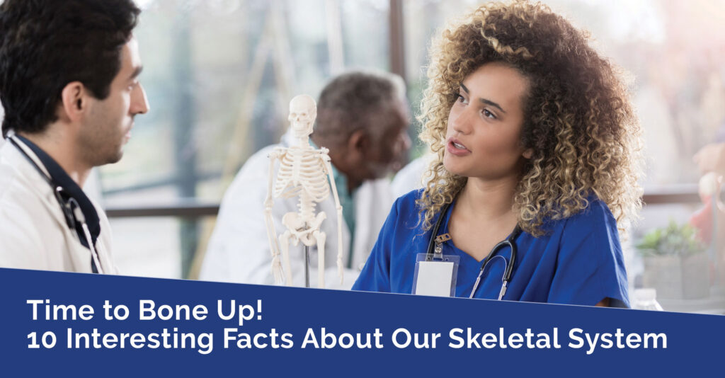 10 Interesting Bone Facts About Our Skeletal System - Physiotherapy ...