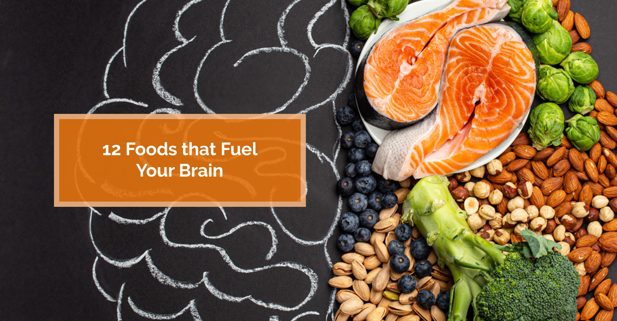 12 Foods that Fuel Your Brain | Physiomed